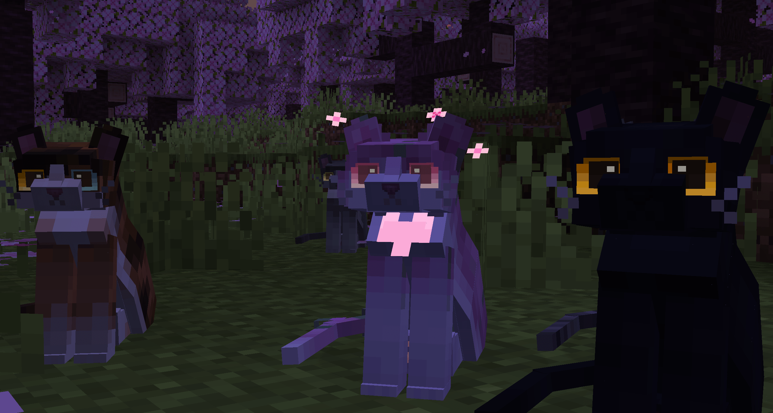 Refined Cats - Minecraft Resource Packs - CurseForge