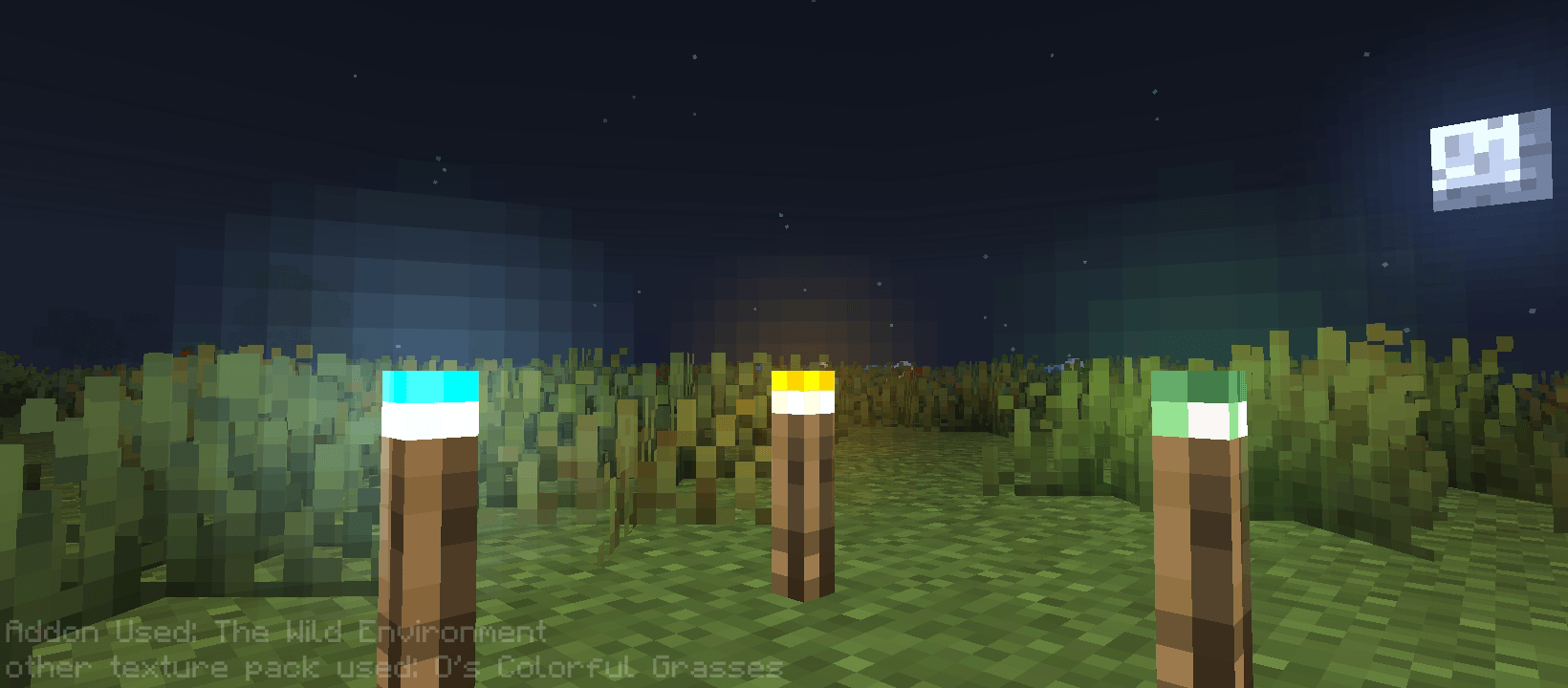 BloomyTorches - Minecraft Bedrock Texture Packs - CurseForge