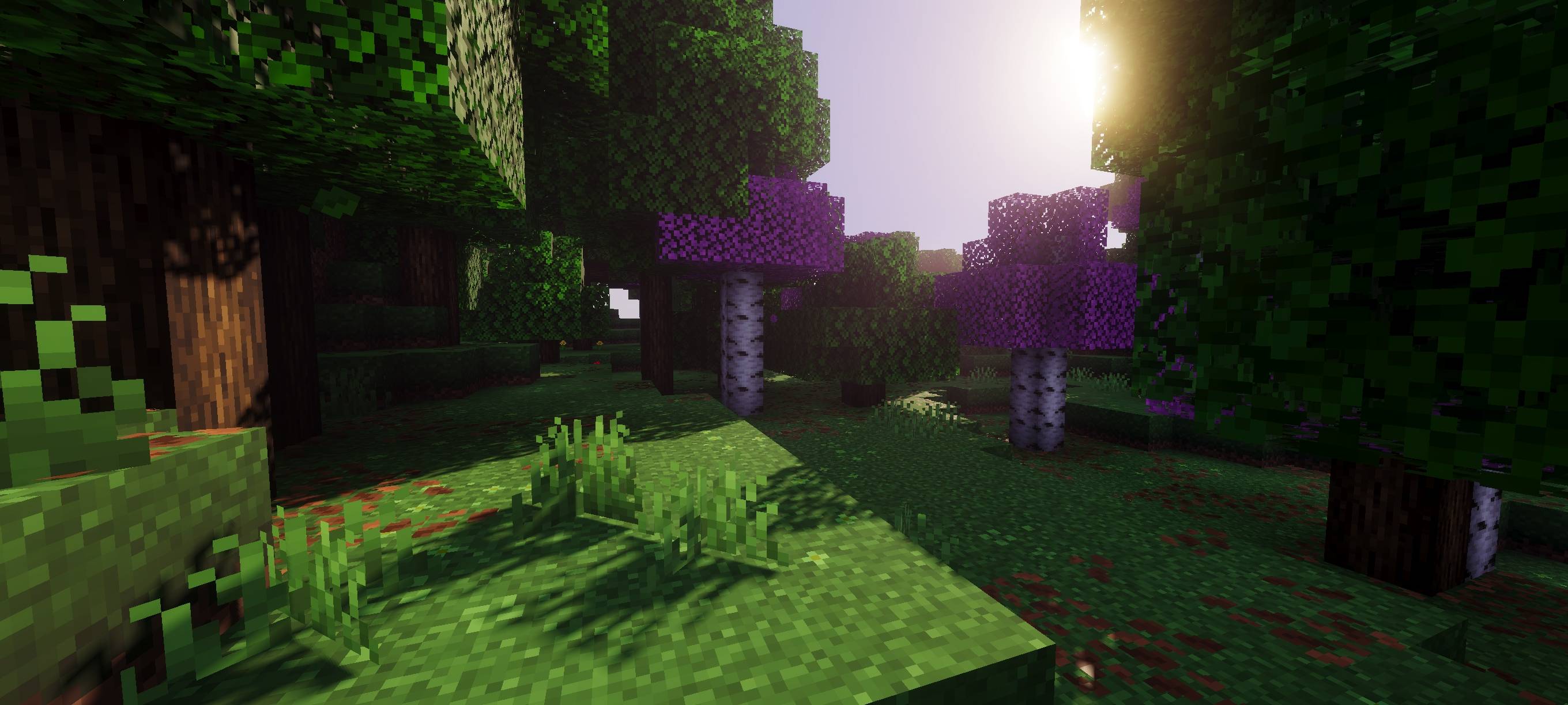 Slightly Enhanced+ - Gallery - Minecraft Bedrock Texture Packs - CurseForge