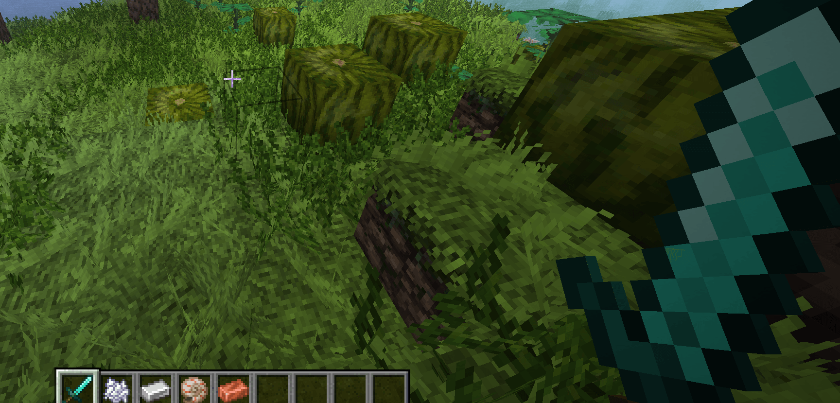 Conquest Patches & Customizations - Gallery - Minecraft Resource Packs ...