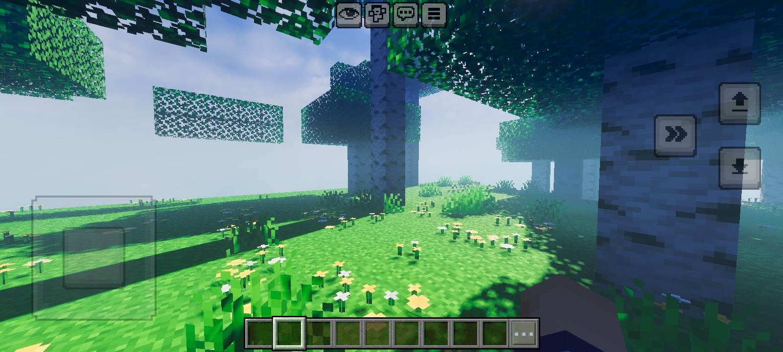 bsl vibrent visual grafic pack - Gallery - Minecraft Bedrock Texture ...