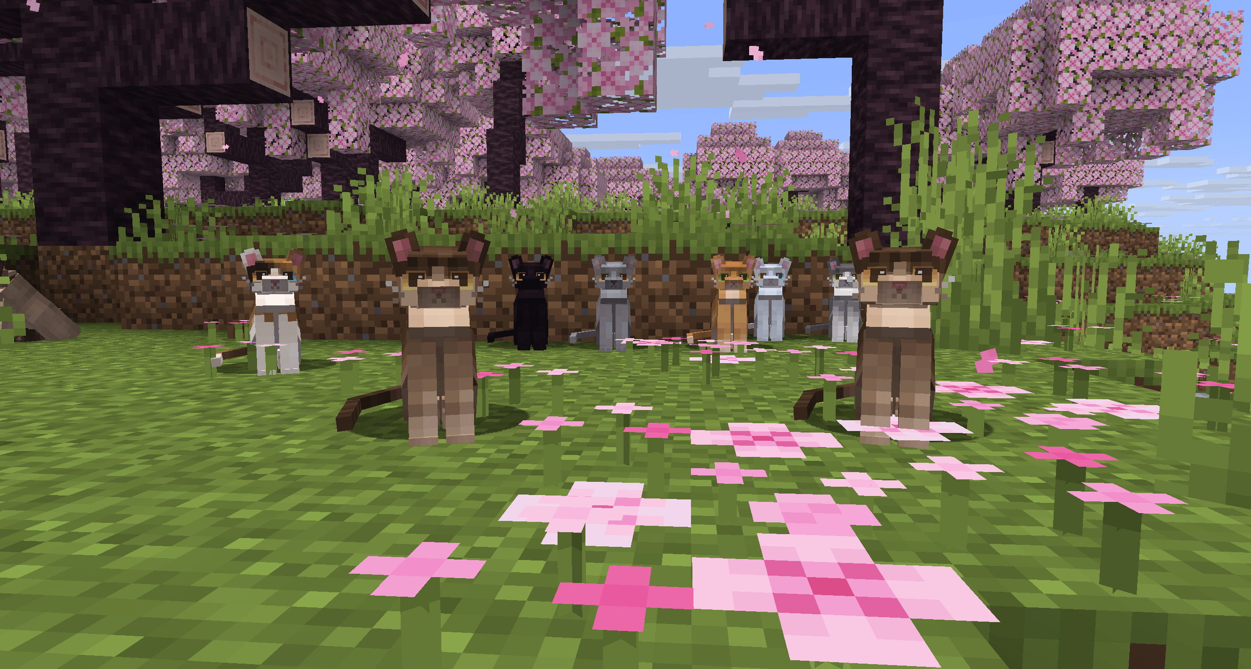 Refined Cats: Lithe - Minecraft Resource Packs - CurseForge