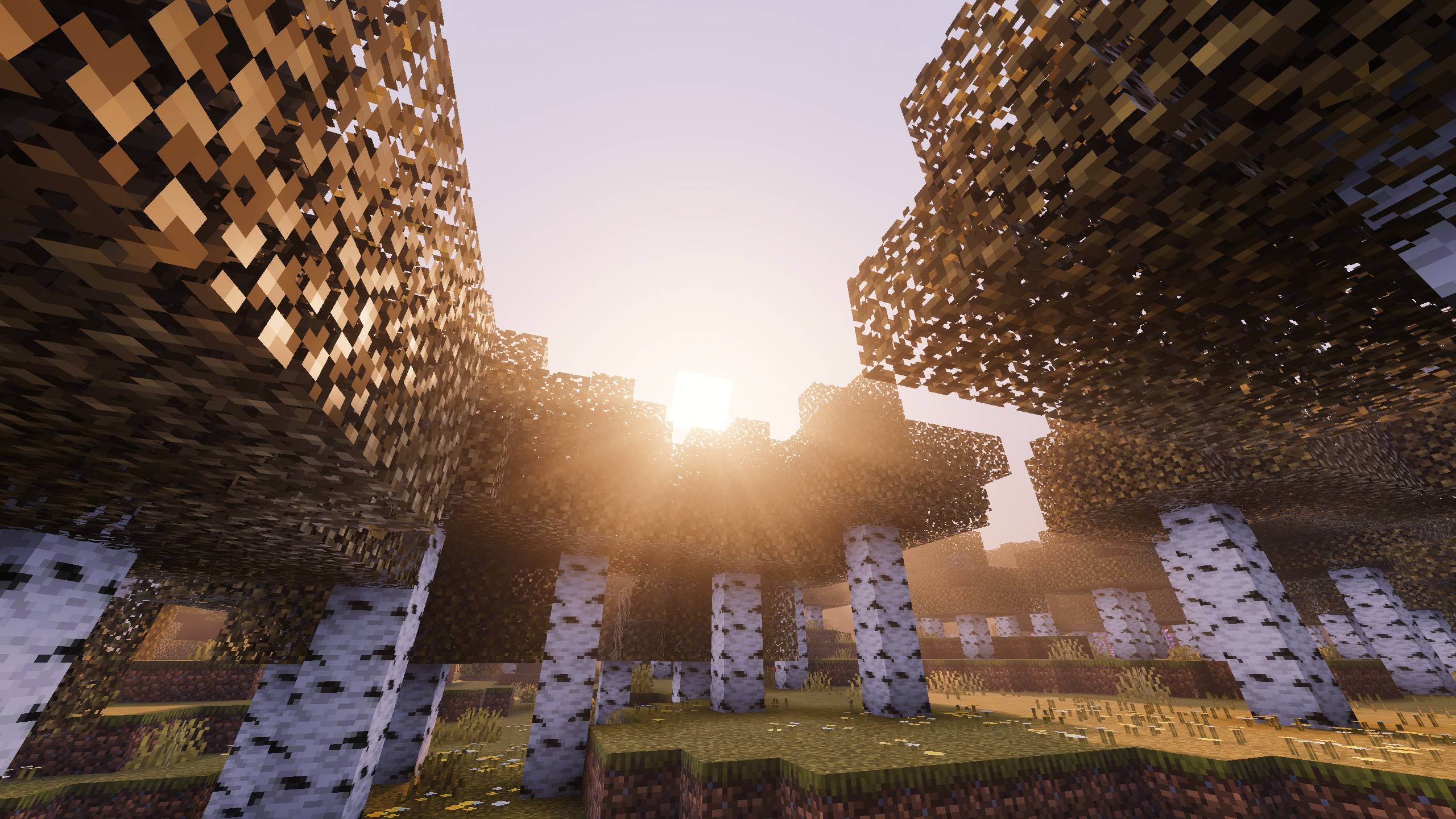 Pumpkin Spice Shaders - Gallery - Minecraft Bedrock Texture Packs - CurseForge