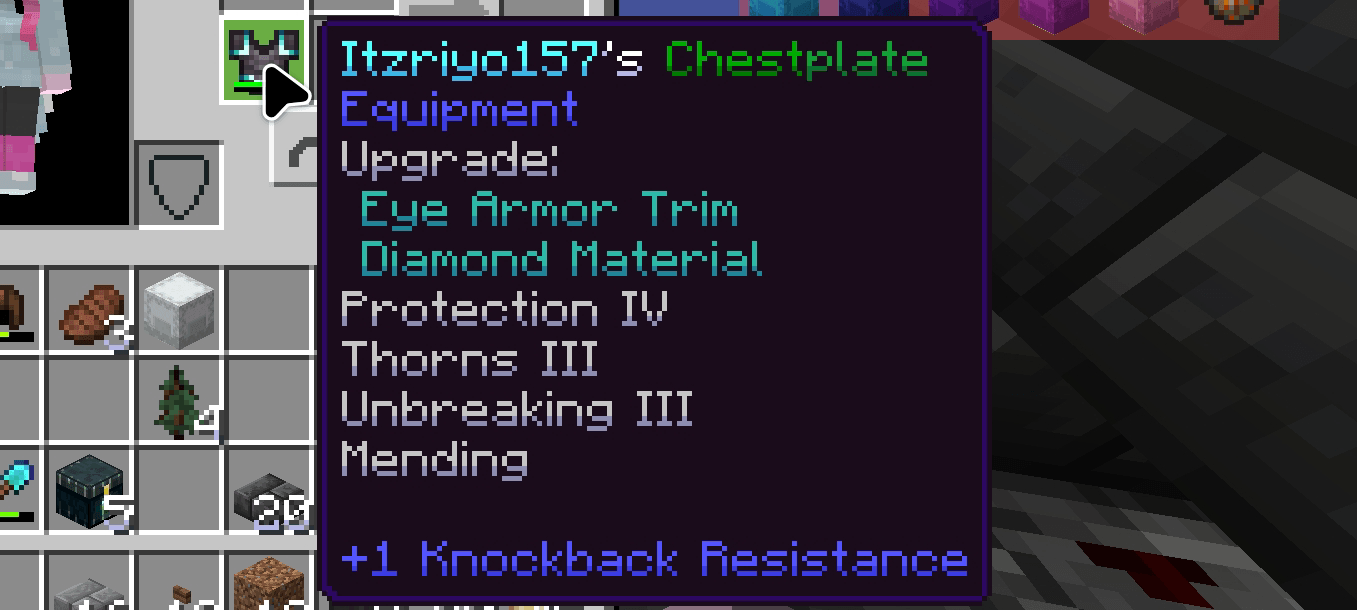 Item Tooltip Display | Minecraft PE Texture Packs