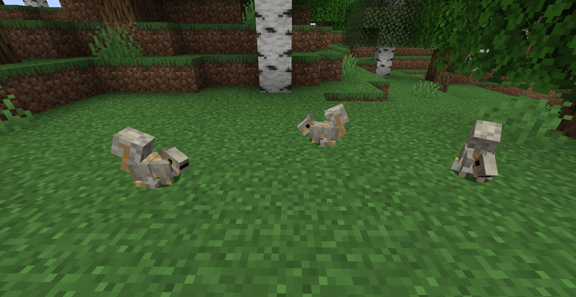 Fall Foraging - Minecraft Mods - CurseForge