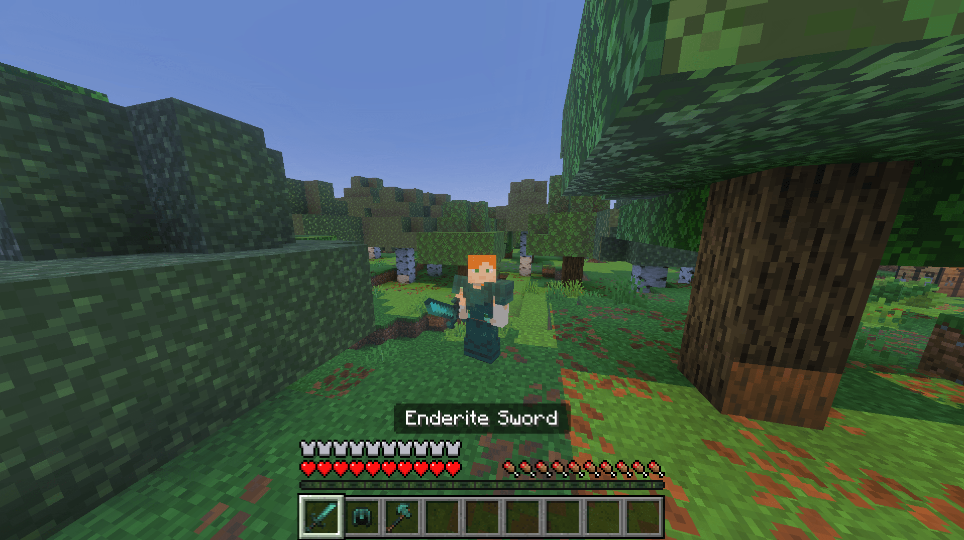 Minecraft PE Mods - Bedrock Edition | MCPEDL