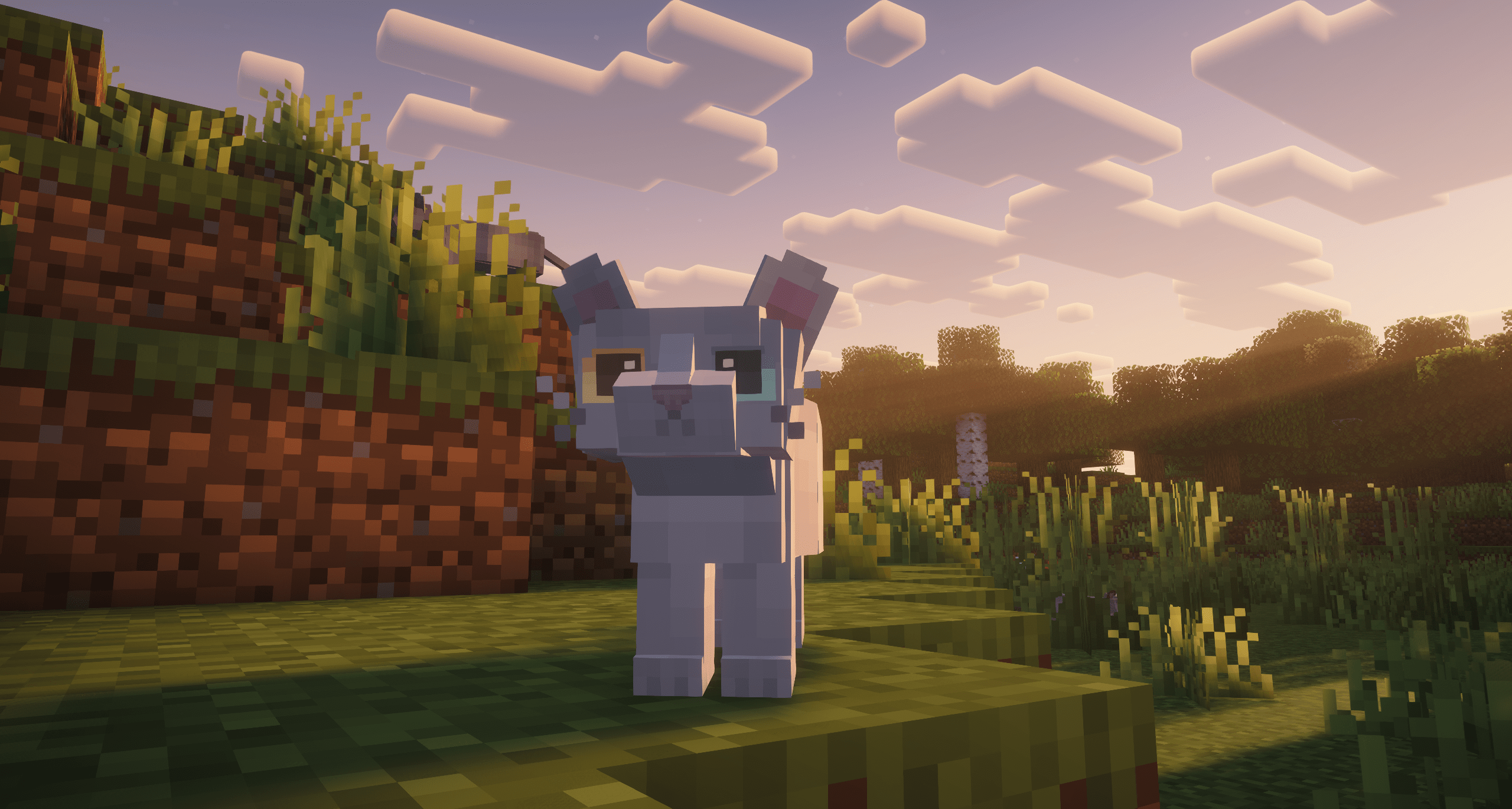 Refined Cats - Minecraft Resource Packs - CurseForge