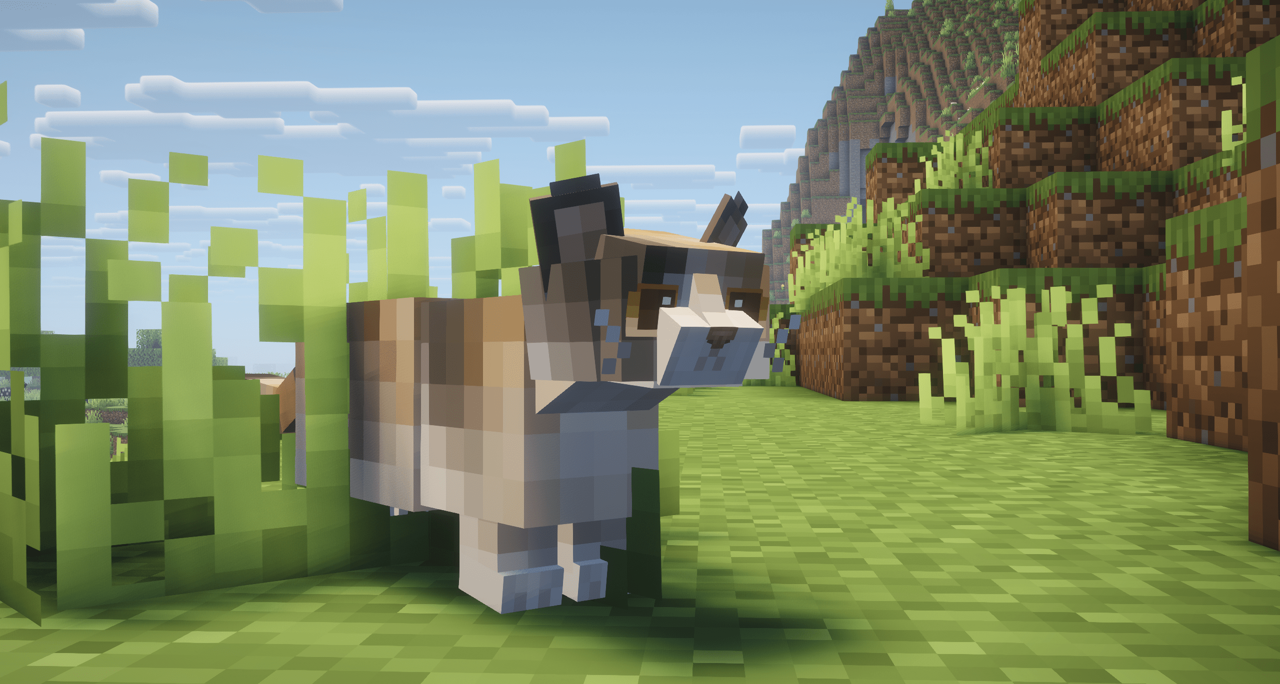 Refined Cats - Minecraft Resource Packs - CurseForge