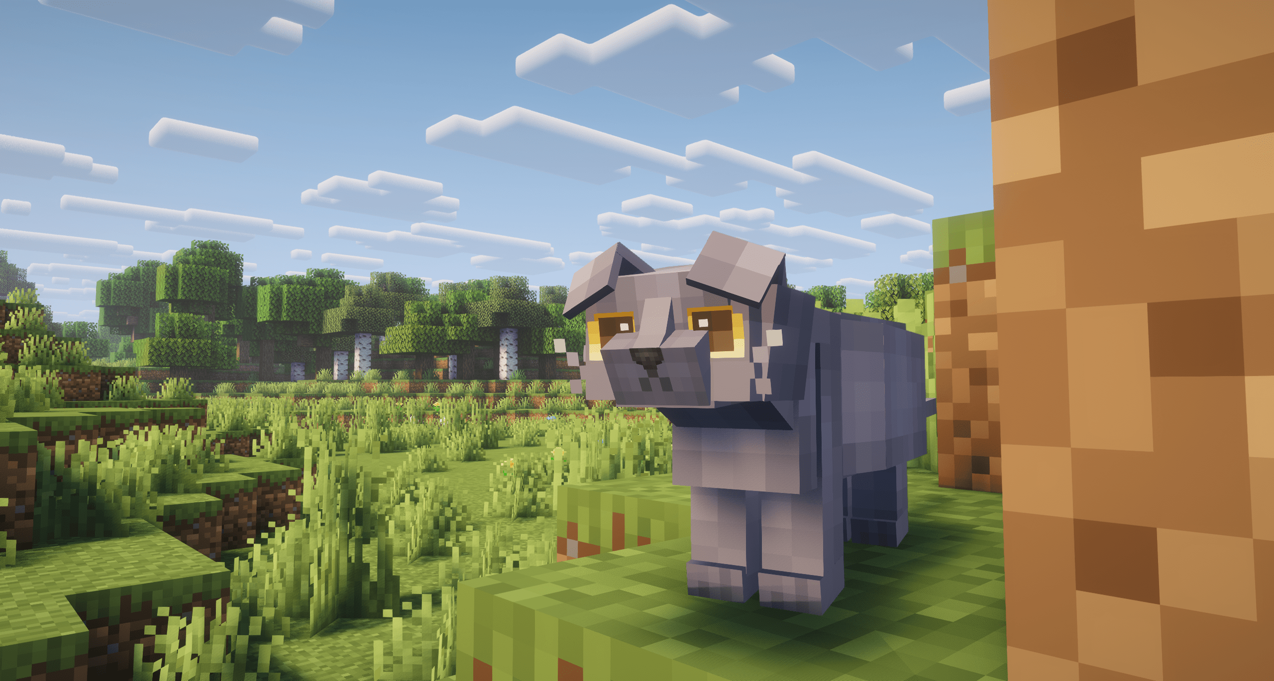 Refined Cats - Minecraft Resource Packs - CurseForge