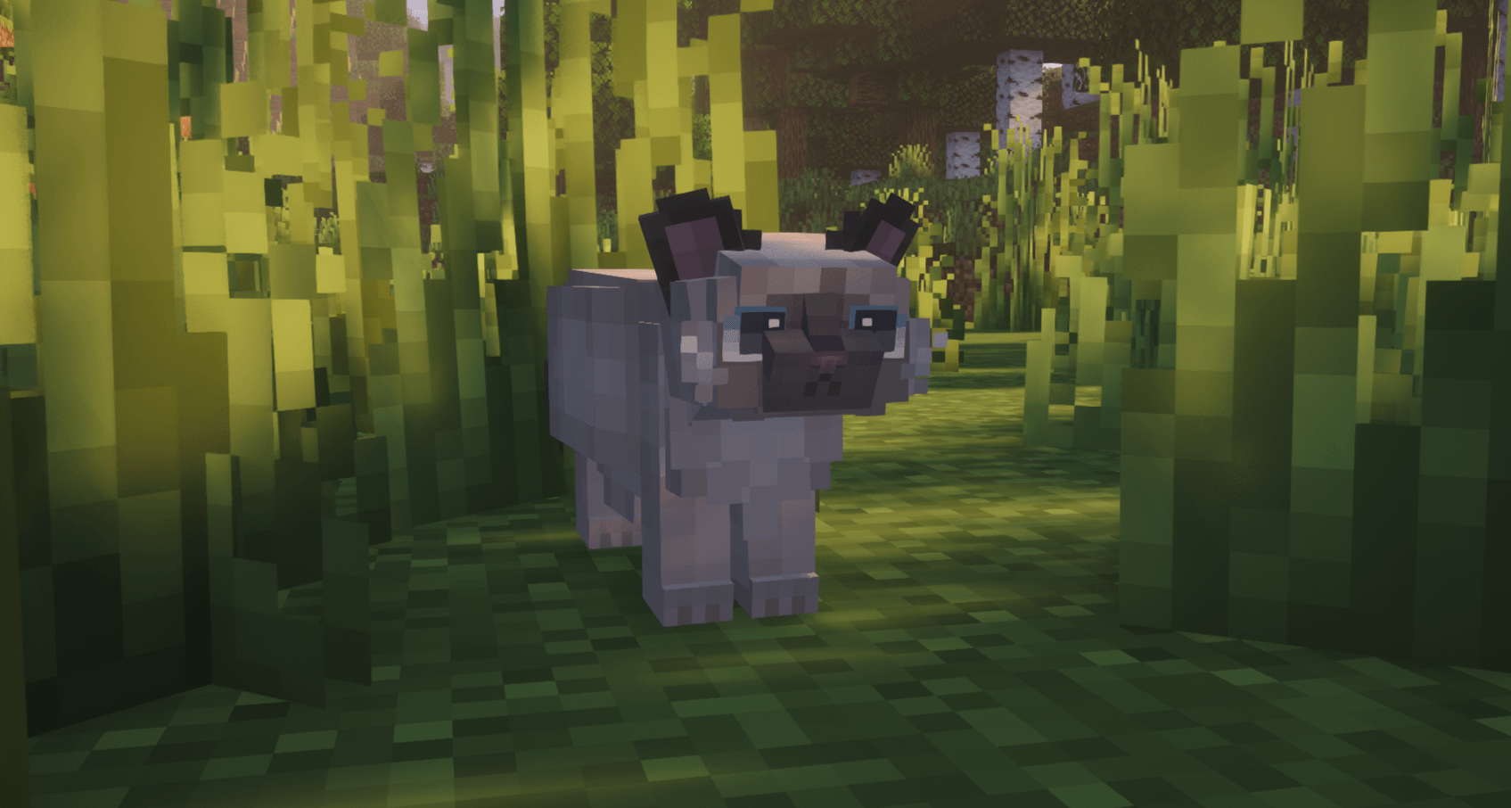 Refined Cats - Minecraft Resource Packs - CurseForge