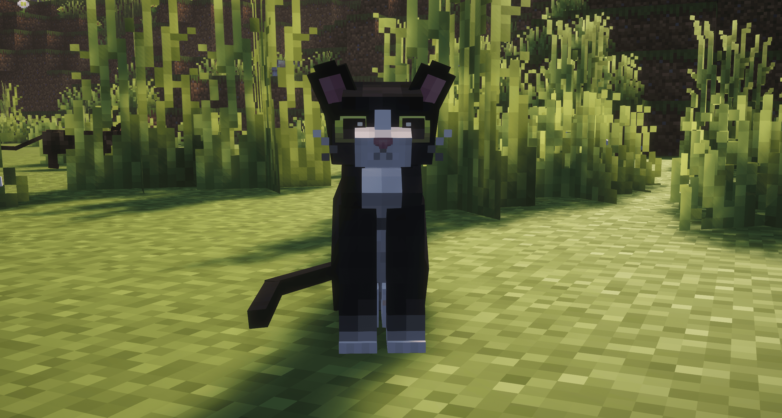 Refined Cats - Minecraft Resource Packs - CurseForge