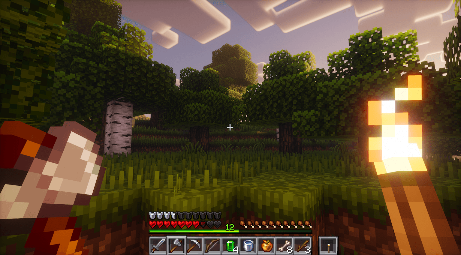 Reimagined - Minecraft Resource Packs - CurseForge