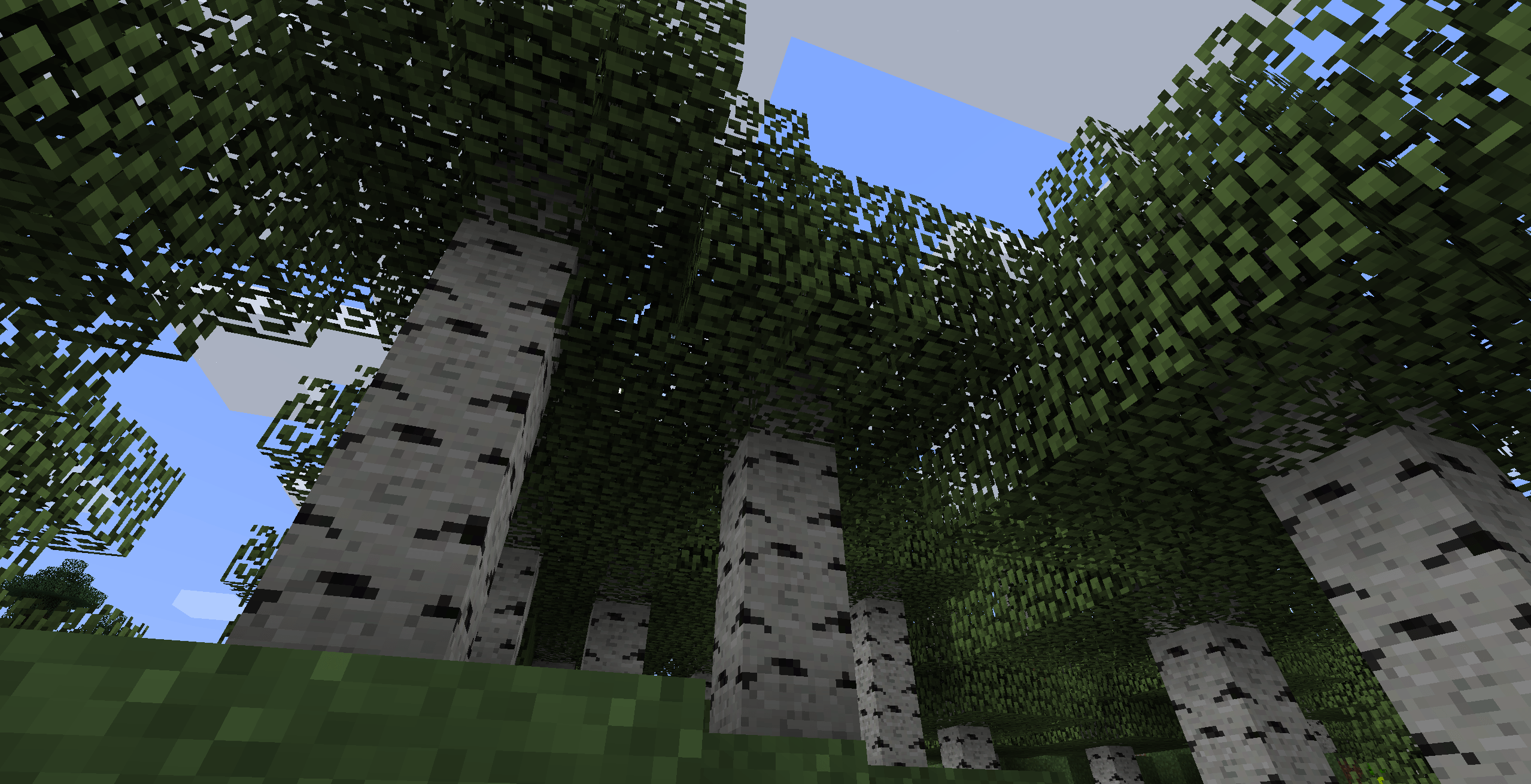 Birch Leaves Fix! - Minecraft Resource Packs - CurseForge
