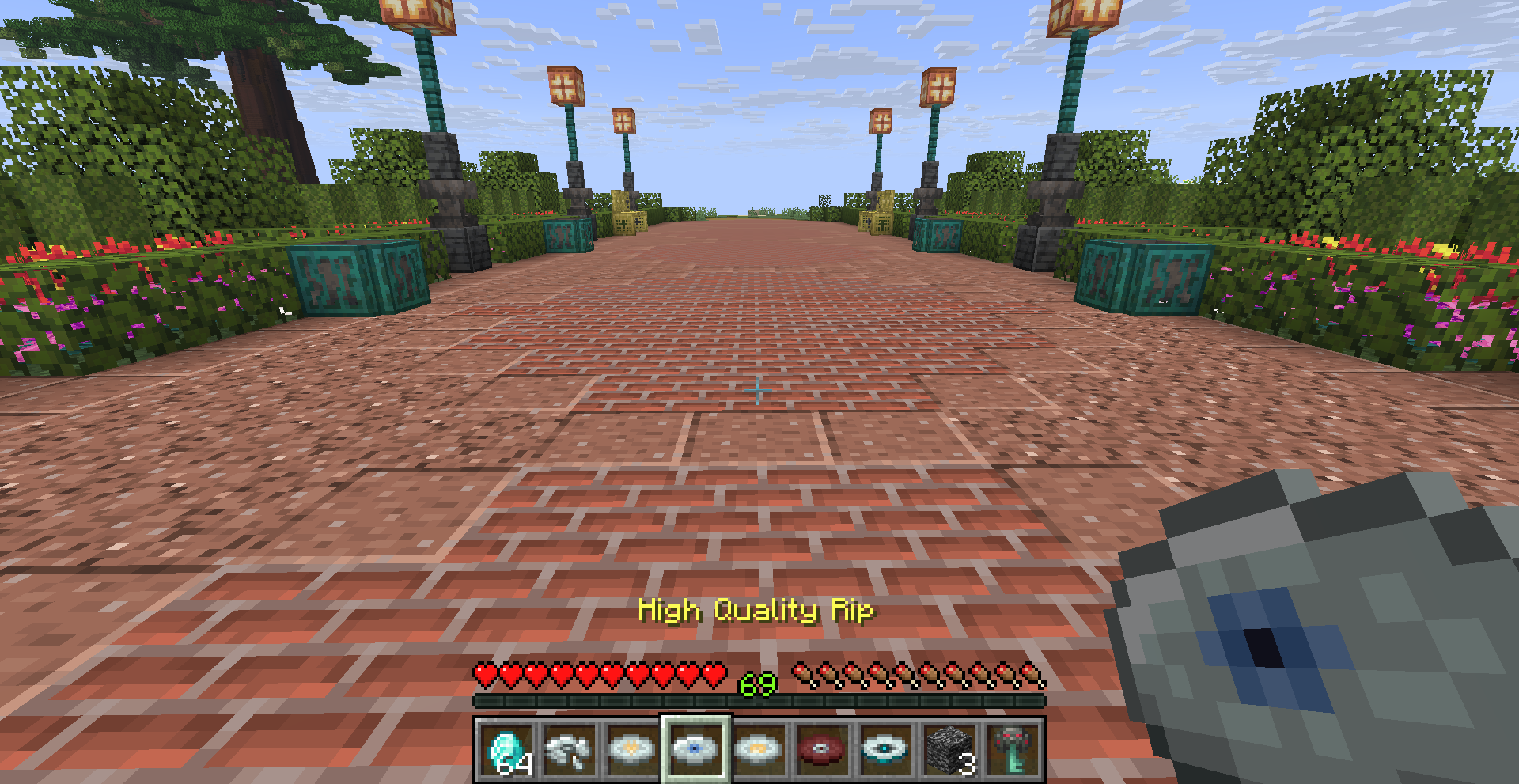 SilvaDiscs - Gallery - Minecraft Resource Packs - CurseForge