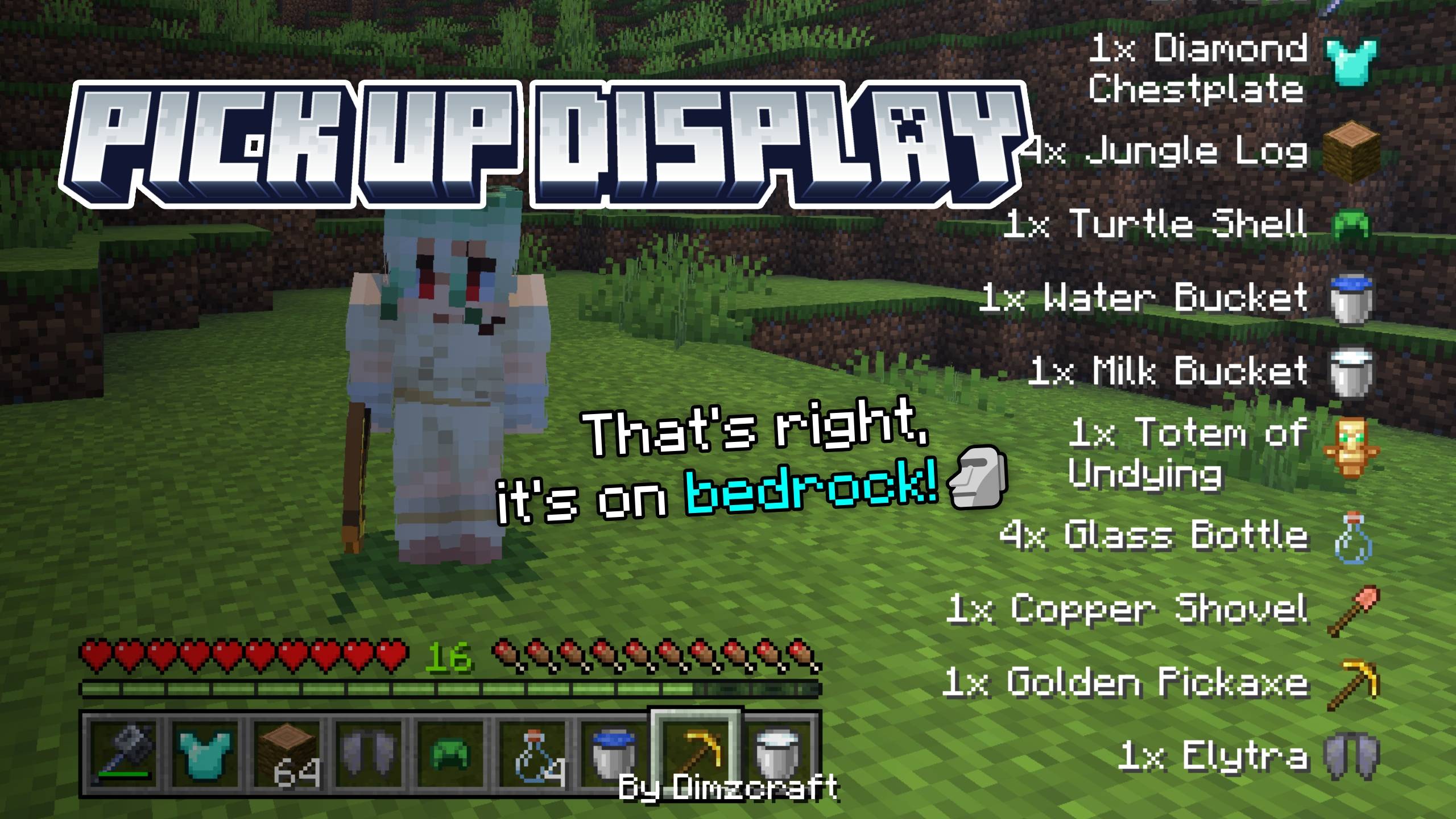 Pick Up Display - Gallery - Minecraft Bedrock Addons - CurseForge