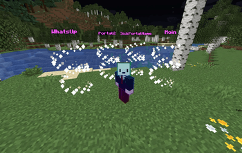 Ethereal Portals - Minecraft Bukkit Plugins - CurseForge