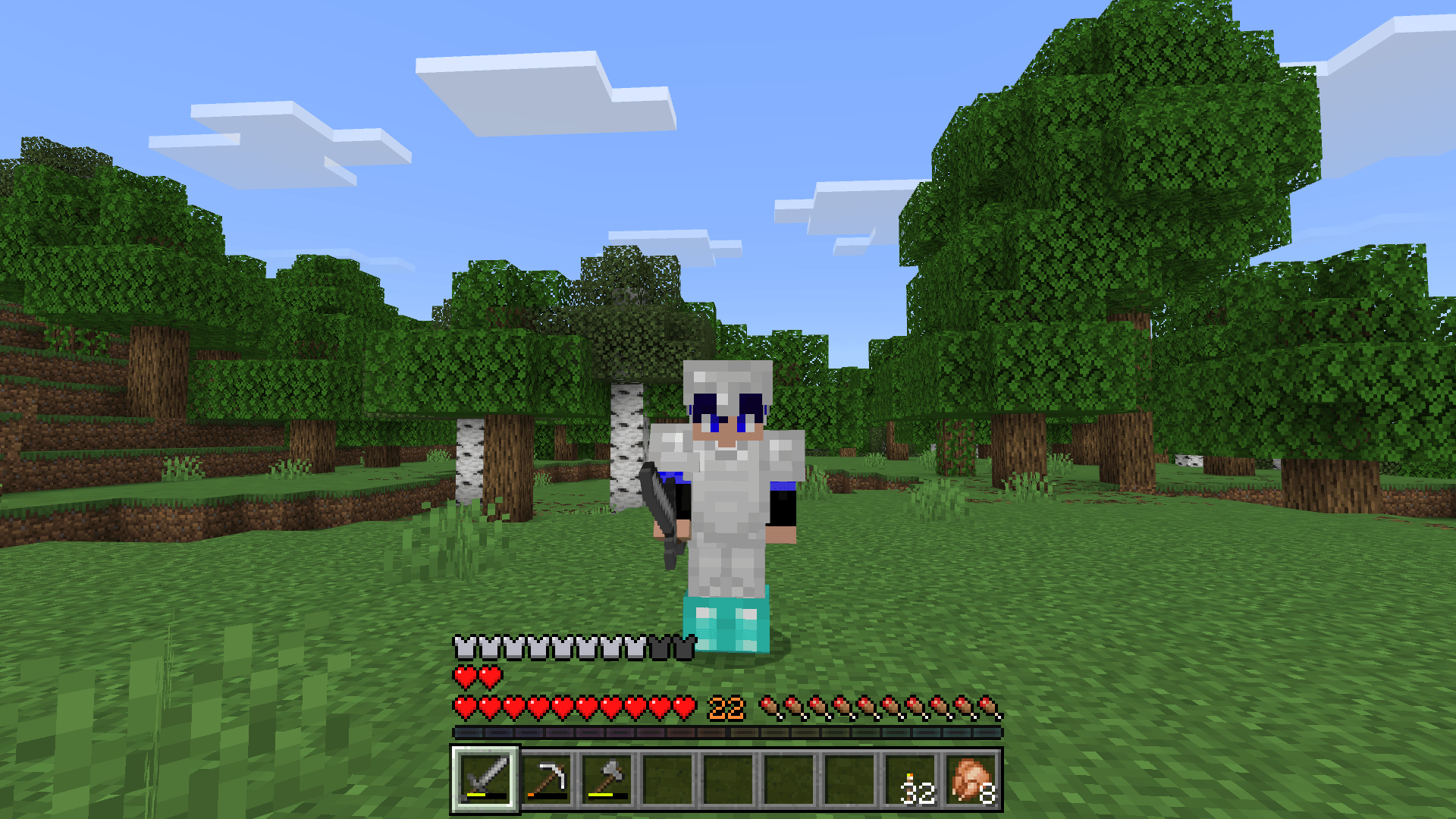 Levels are hearts - Gallery - Minecraft Bedrock Addons - CurseForge