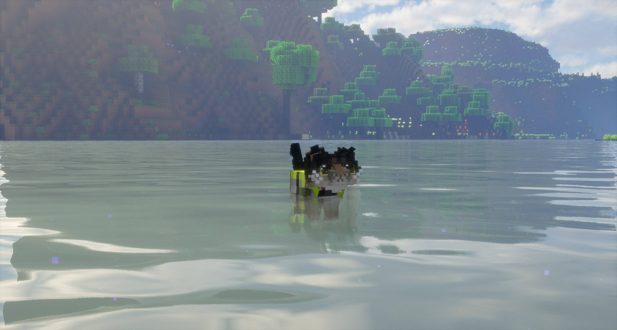 Refined Cats - Minecraft Resource Packs - CurseForge