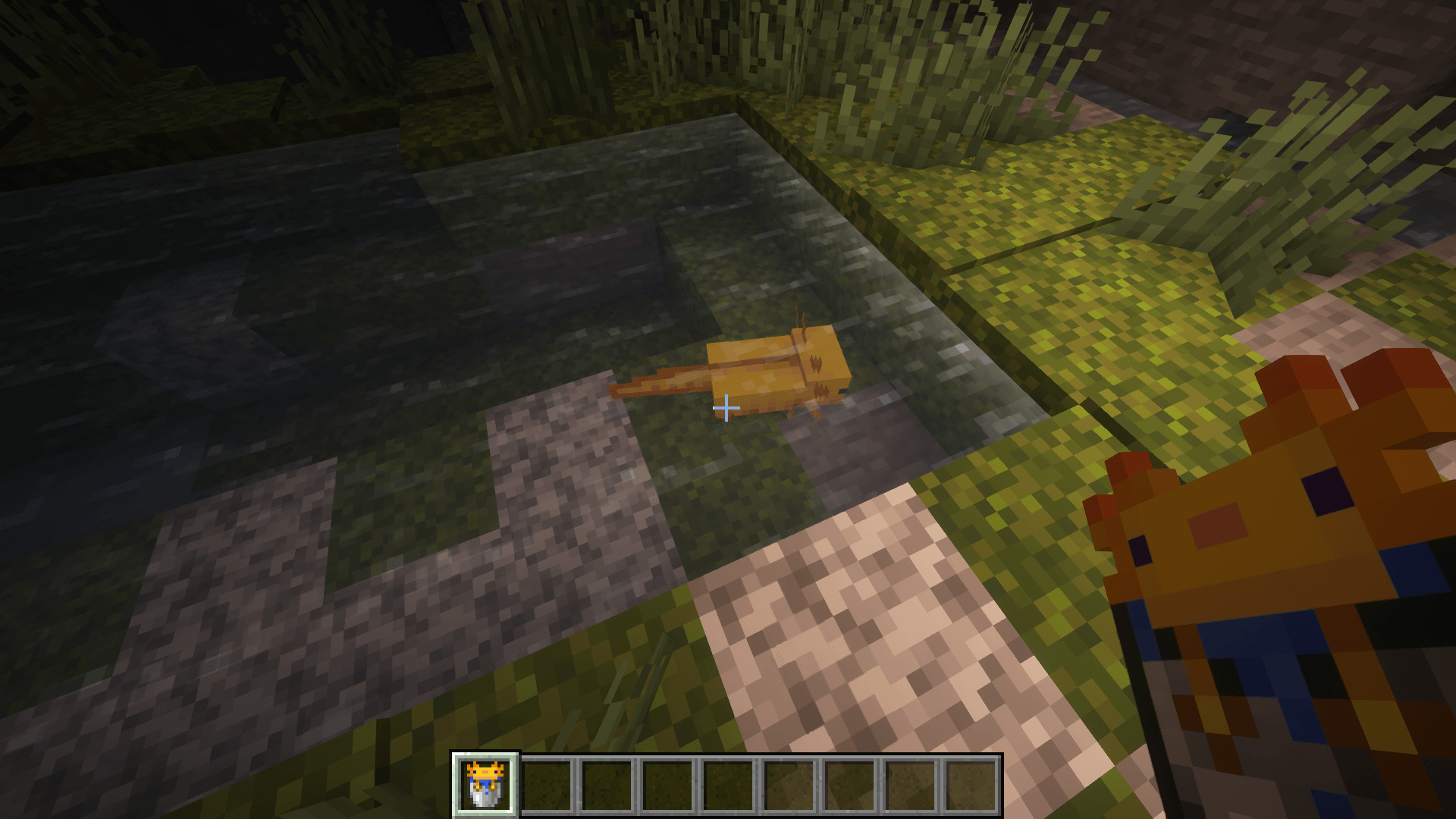 Unique Axolotl Buckets - Gallery - Minecraft Resource Packs - CurseForge