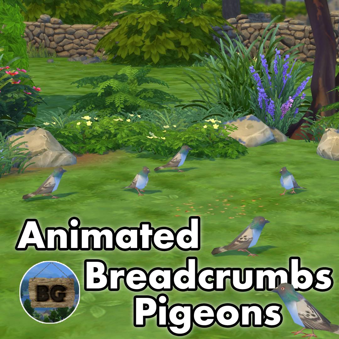 Animated Breadcrumbs + Pigeons ~ Bird ~ Animal ~ Pigeon ~ Pet - Gallery ...