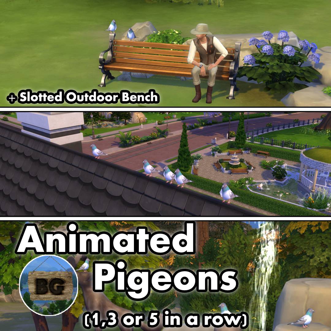 Animated Pigeons - Row ~ Bird ~ Animal ~ Pigeon ~ Pet - Gallery - The ...