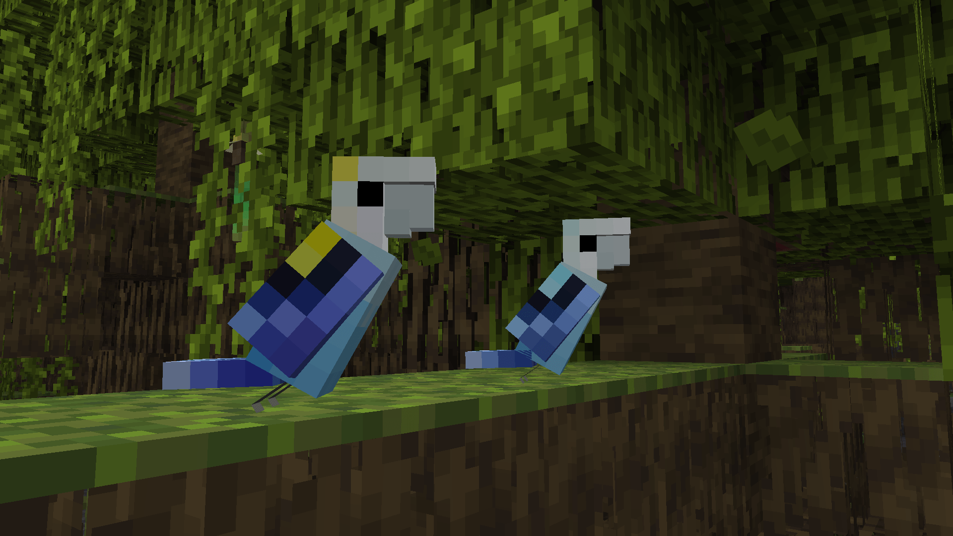 Aussie Parrots - Minecraft Resource Packs - CurseForge