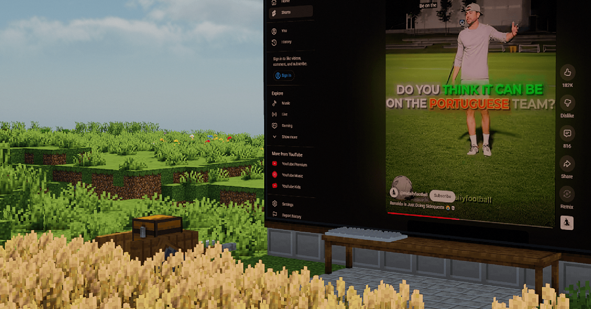WebDisplays Plus - Minecraft Modpacks - CurseForge