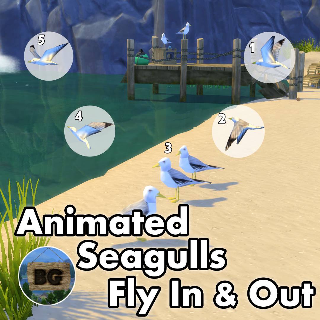 Animated Seagulls - Fly In & Out ~ Bird ~ Animal ~ Seagull ~ Pet - The ...