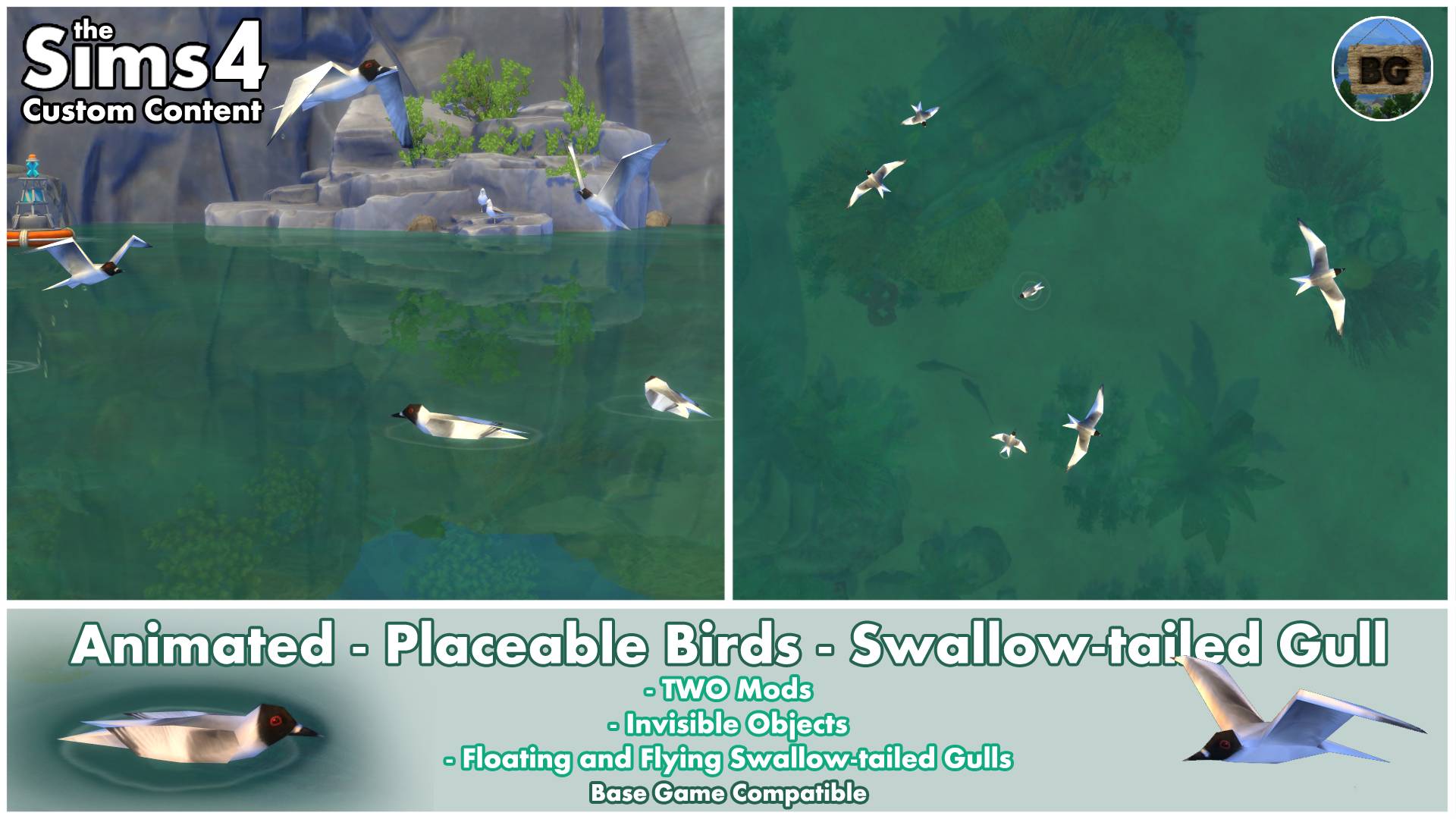 Animated Swallow-tailed Gulls ~ Bird ~ Animal ~ Seagull ~ Pet - The ...