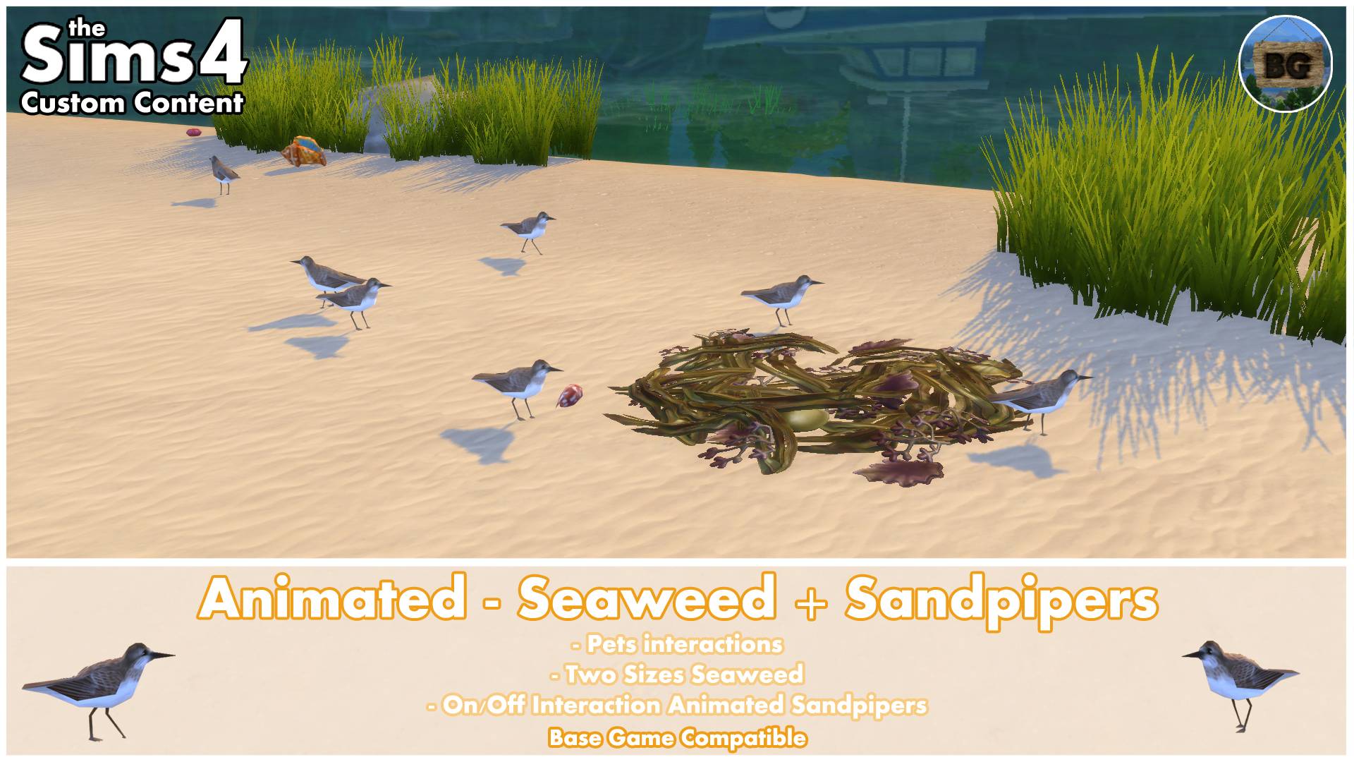 Animated Seaweed + Sandpipers ~ Bird ~ Animal ~ Sandpiper ~ Pet ...