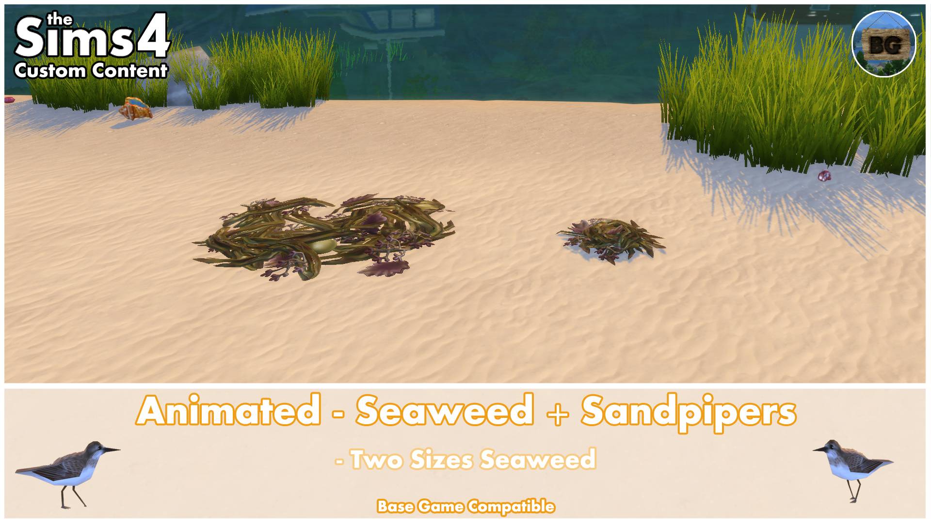 Animated Seaweed + Sandpipers ~ Bird ~ Animal ~ Sandpiper ~ Pet - The ...