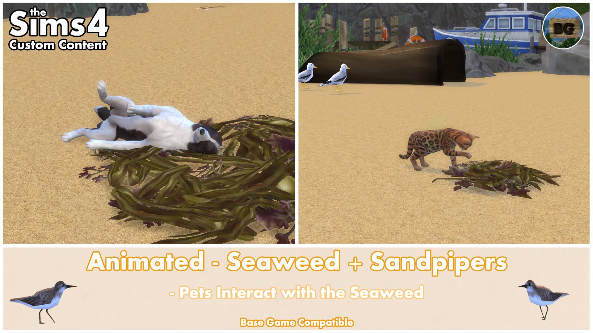 Animated Seaweed + Sandpipers ~ Bird ~ Animal ~ Sandpiper ~ Pet - The ...