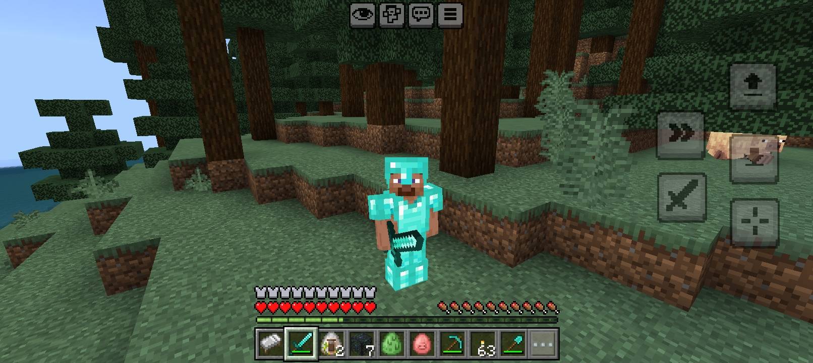 OP starter kit! - Minecraft Bedrock Addons - CurseForge