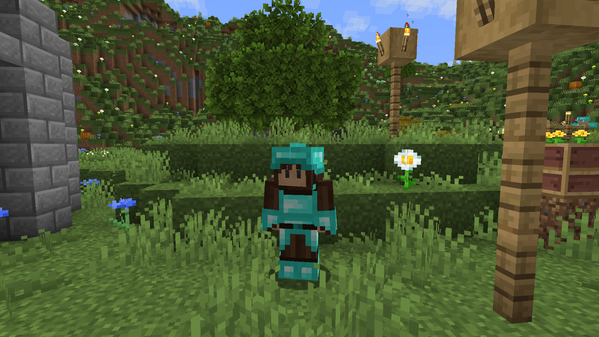 Medieval Armory: Armor Classes - Minecraft Mods - CurseForge