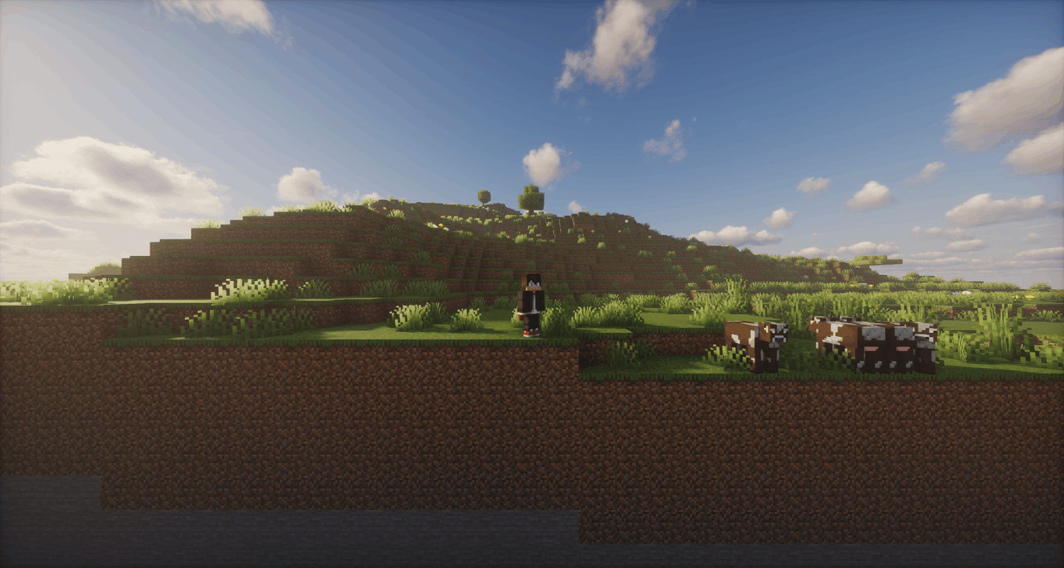 Two Dimensional: Reloaded - Minecraft Mods - CurseForge