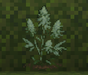 Magical herbs - Minecraft Mods - CurseForge