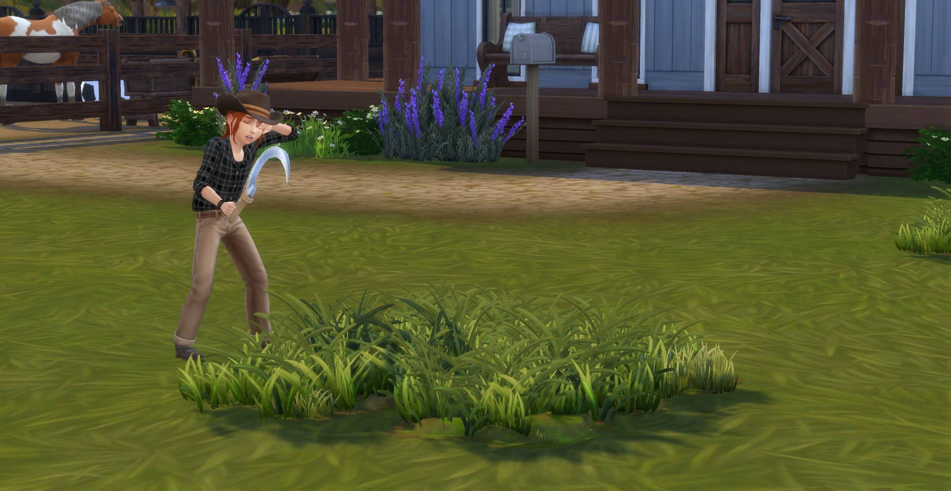 RSM (Horse Ranch) - Children can Harvest Wild Grass - The Sims 4 Mods ...