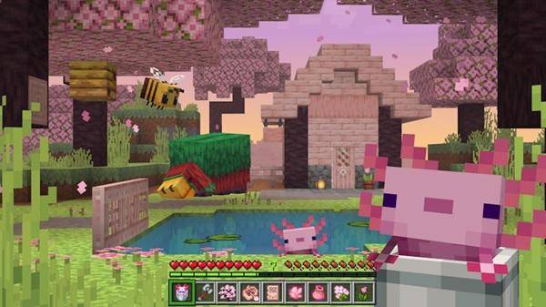 Trailer graphics and animations - Minecraft Bedrock Texture Packs ...