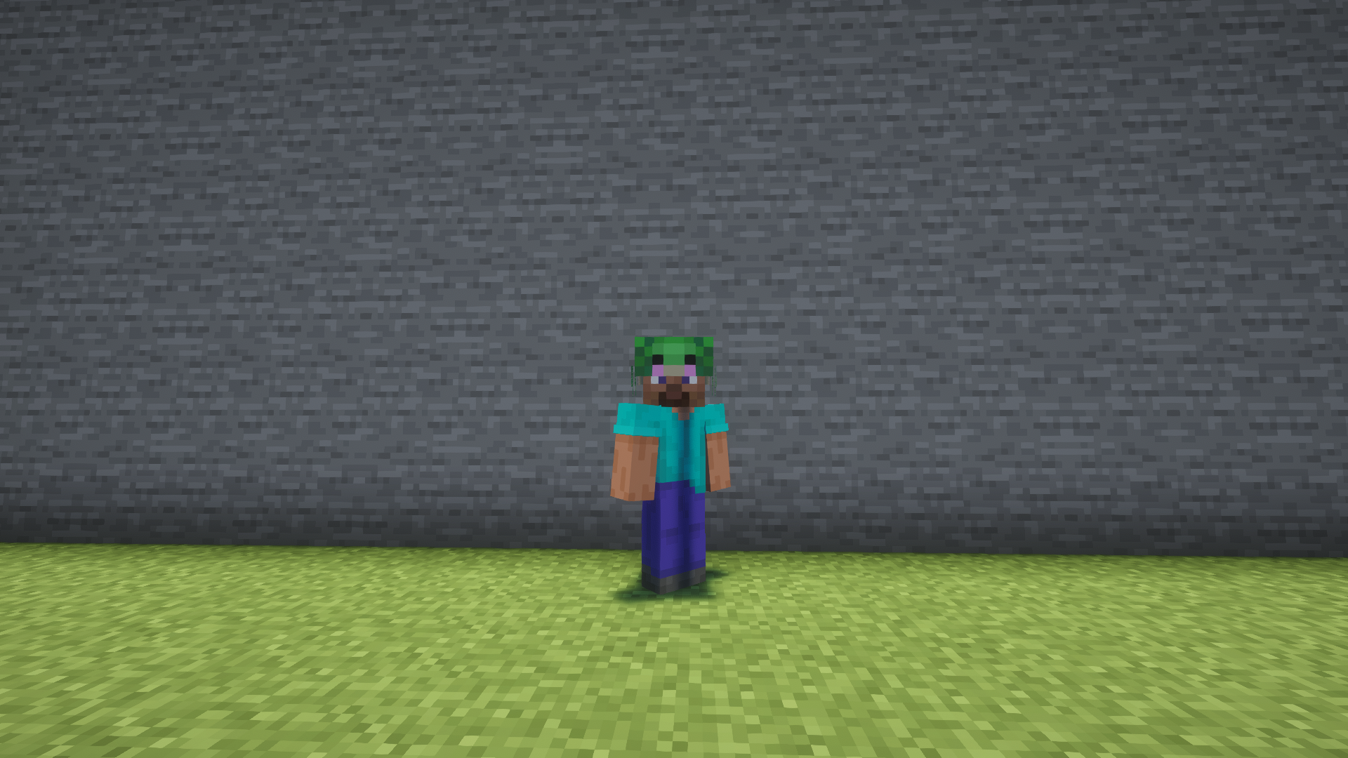 Cute Turtle Helmet - Gallery - Minecraft Resource Packs - CurseForge