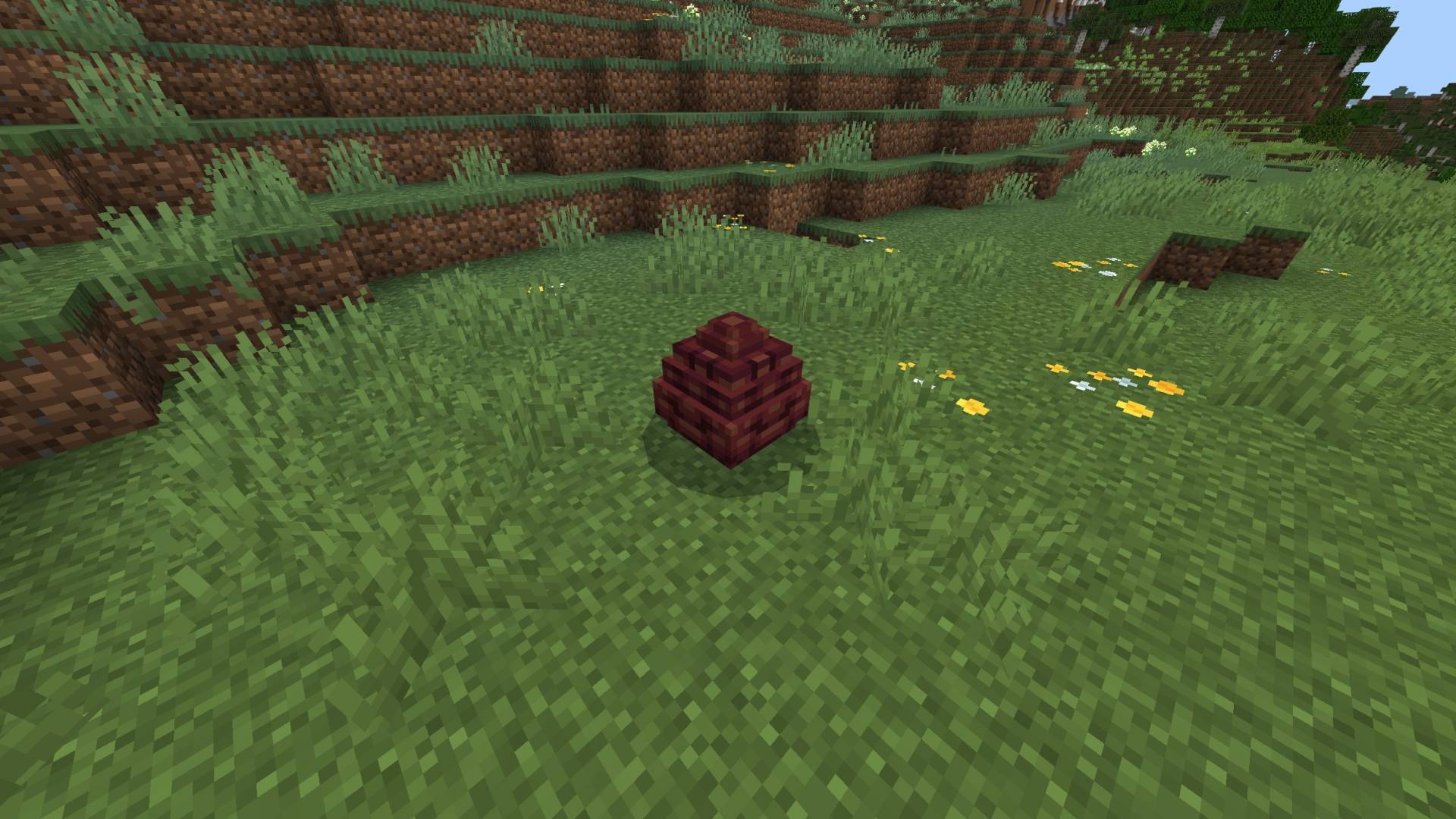 The Last Dragon - Minecraft Bedrock Addons - CurseForge