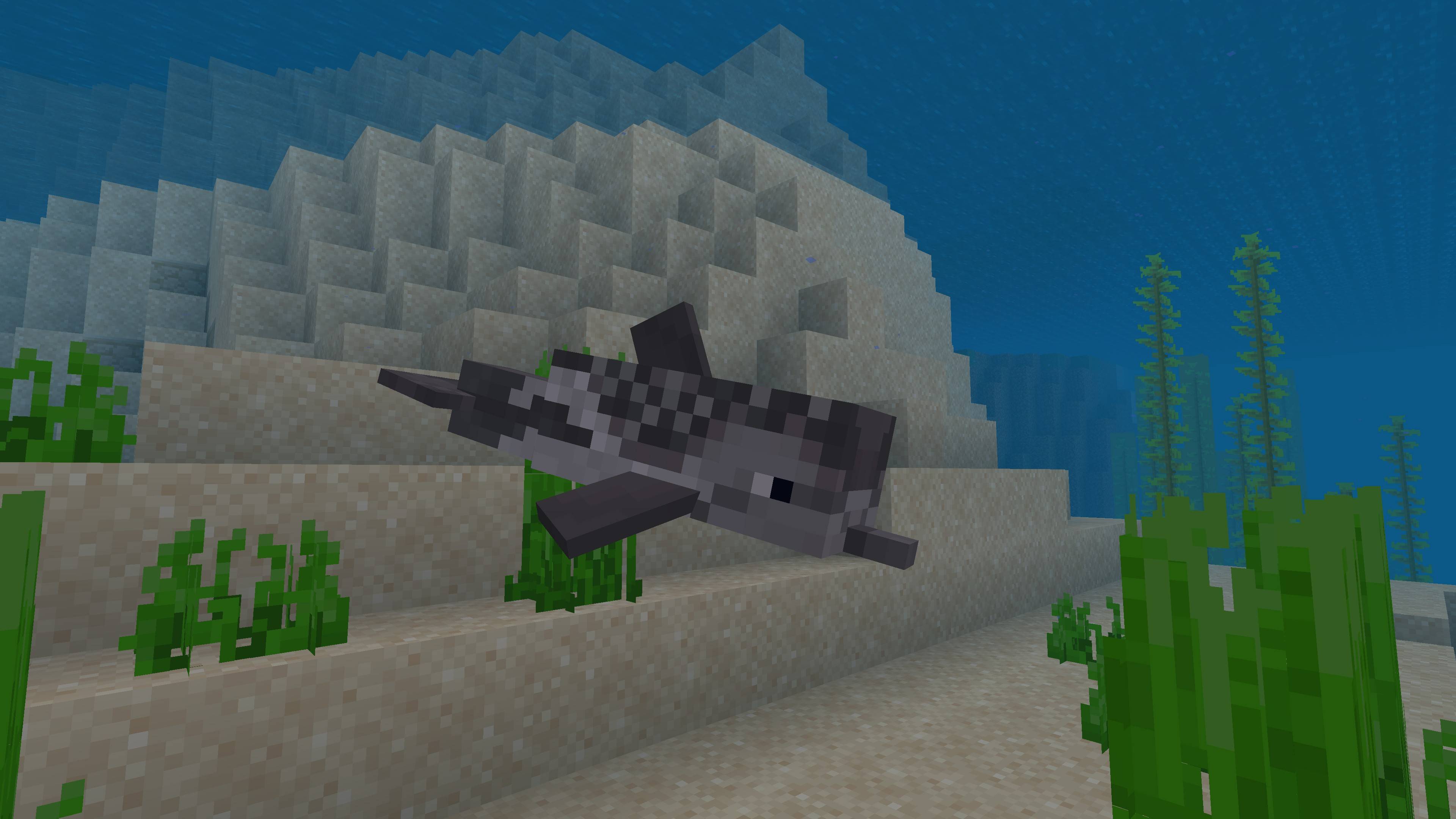 Divin' Dolphins - Minecraft Bedrock Addons - CurseForge