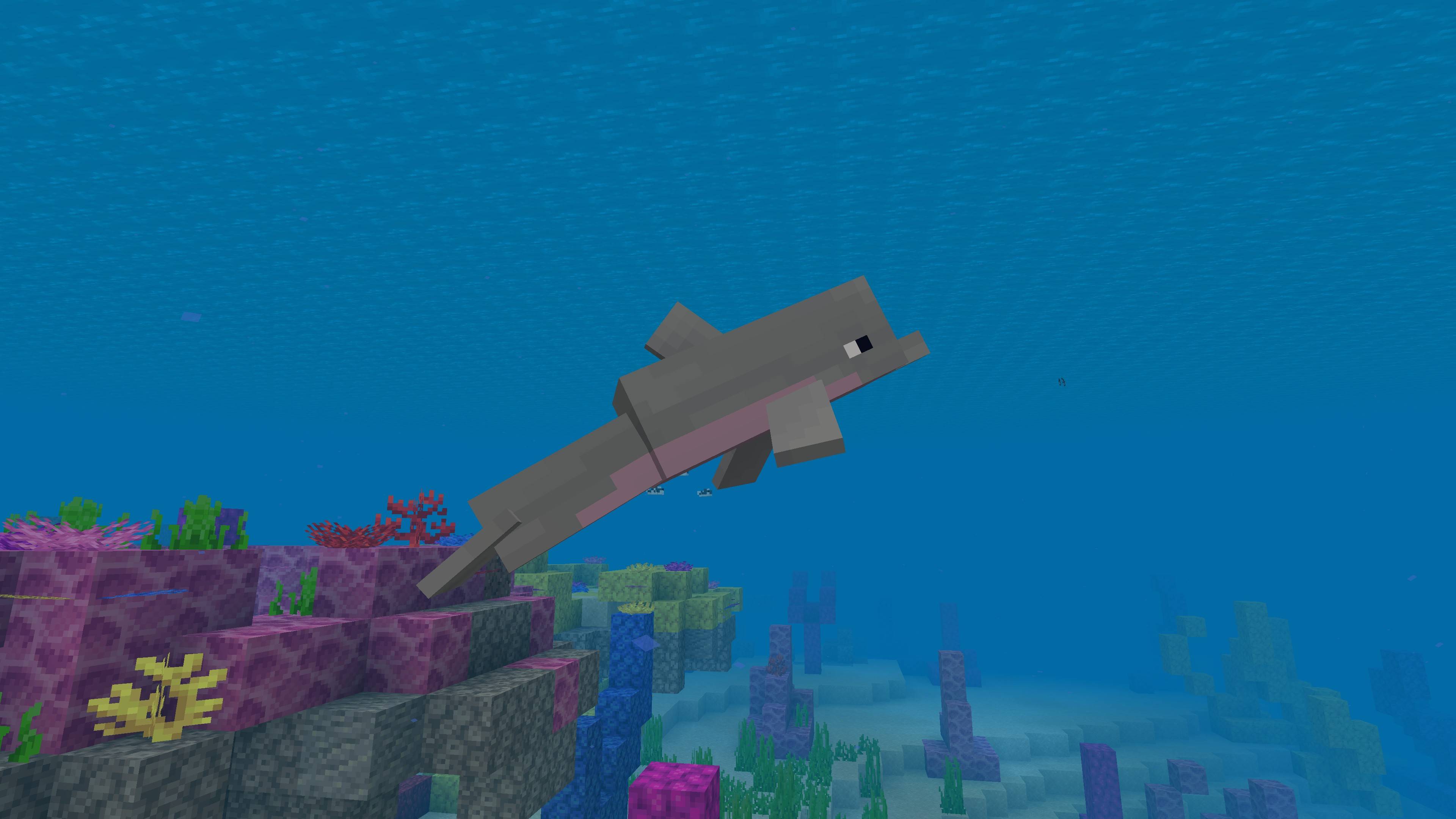 Divin' Dolphins - Gallery - Minecraft Bedrock Addons - CurseForge