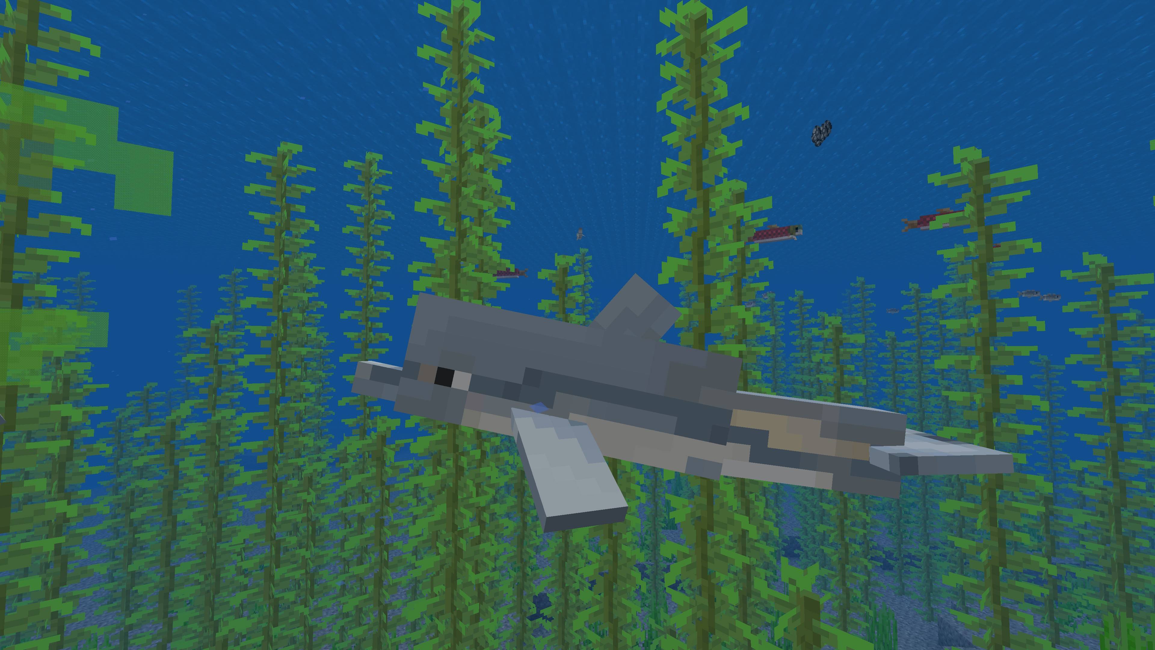 Divin' Dolphins - Minecraft Bedrock Addons - CurseForge