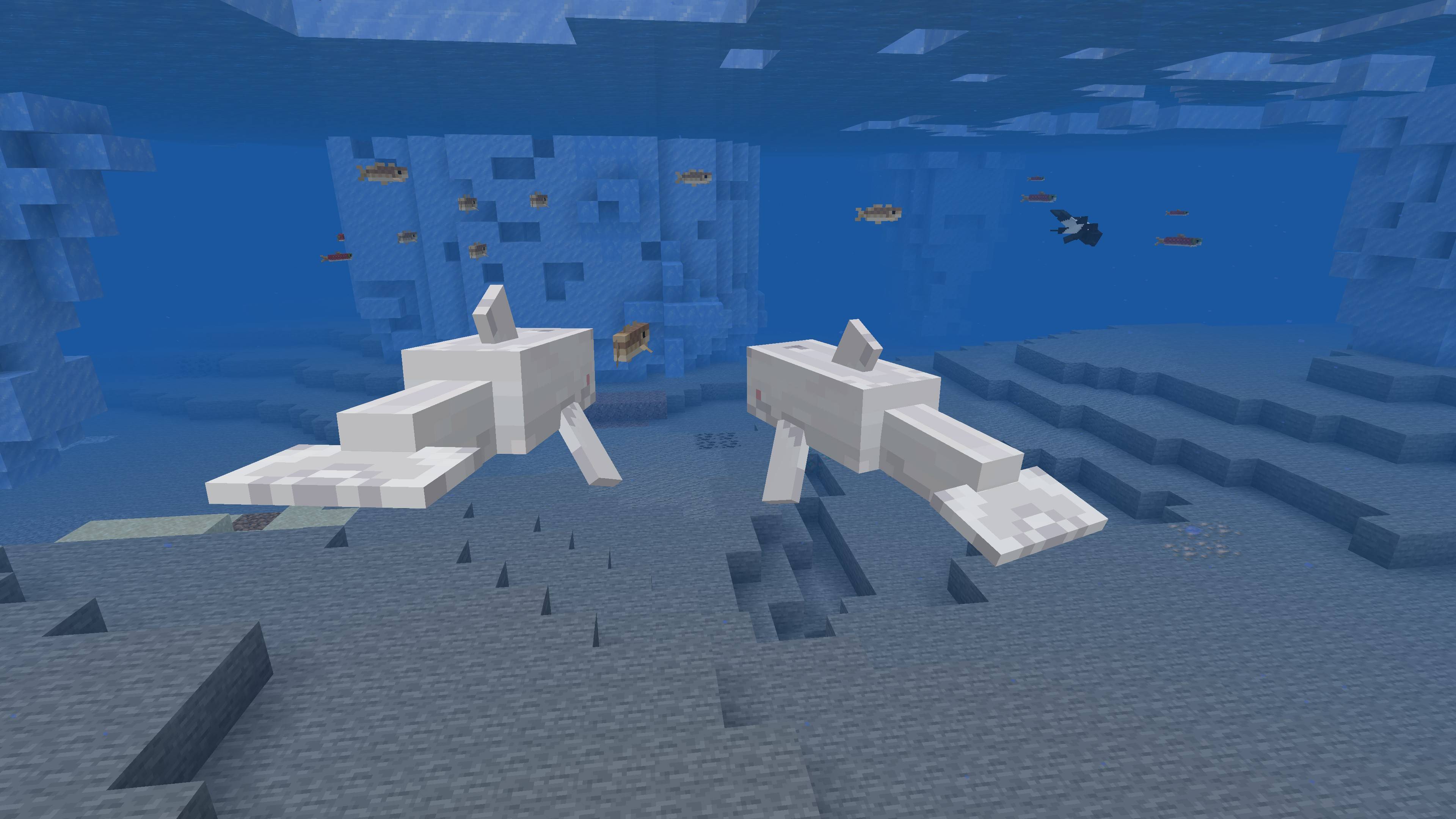 Divin' Dolphins - Gallery - Minecraft Bedrock Addons - CurseForge
