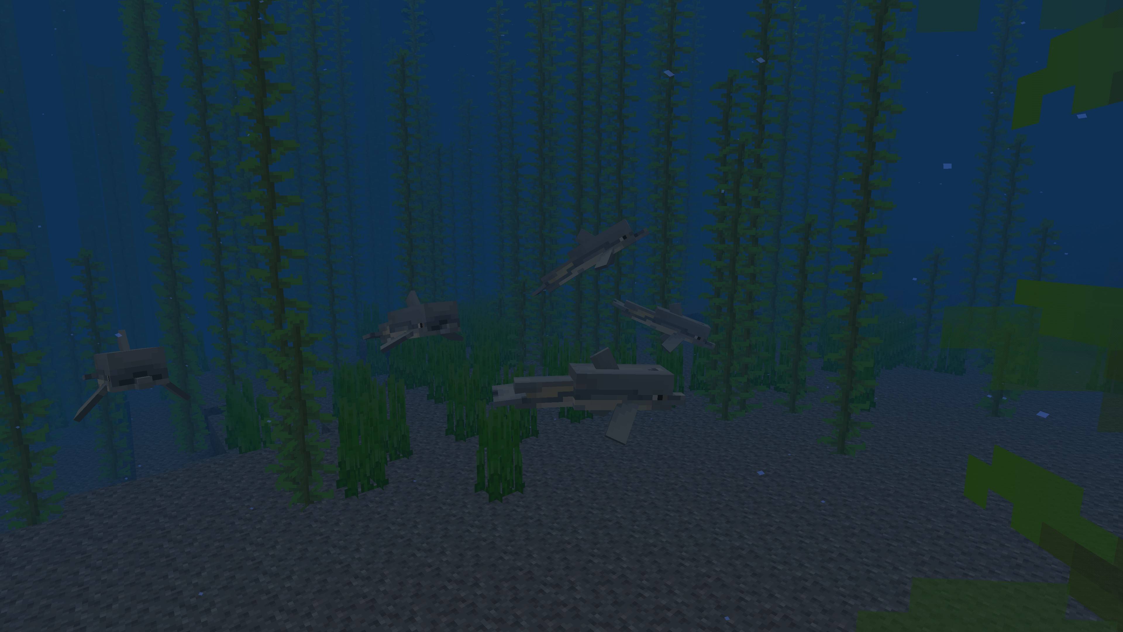 Divin' Dolphins - Gallery - Minecraft Bedrock Addons - CurseForge