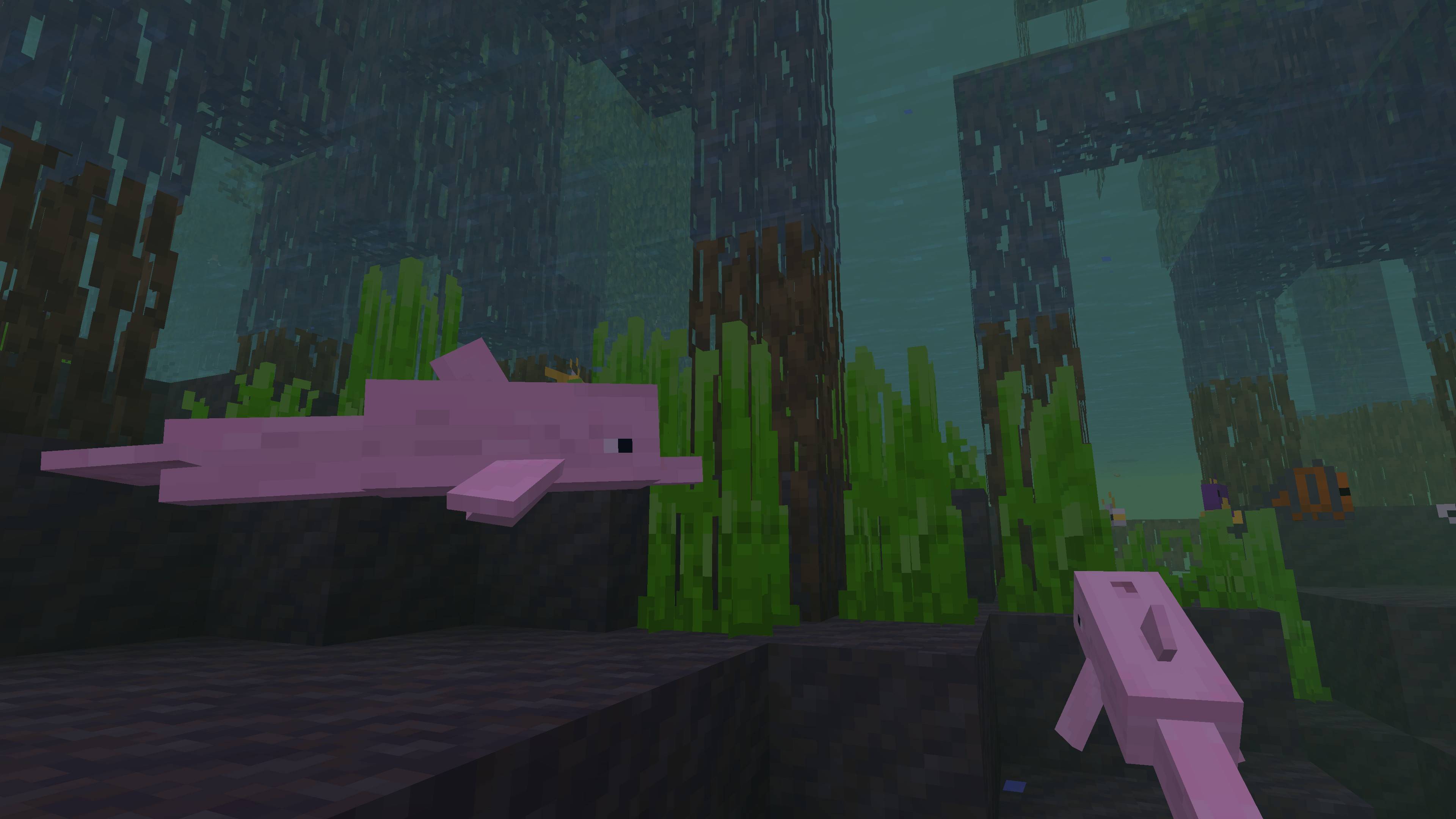 Divin' Dolphins - Gallery - Minecraft Bedrock Addons - CurseForge