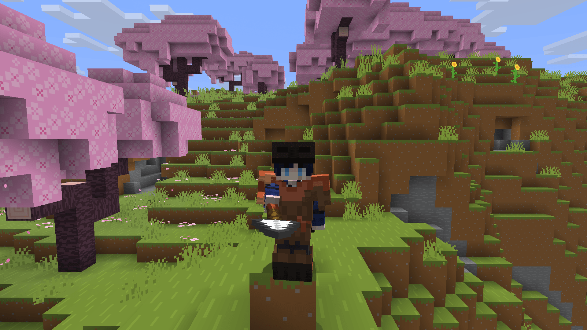 Bare Bones x Capybara Armor - Minecraft Resource Packs - CurseForge
