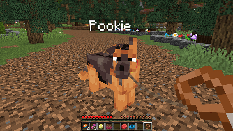 Owningfour cuter dog (survival friendly) - Gallery - Minecraft Bedrock ...