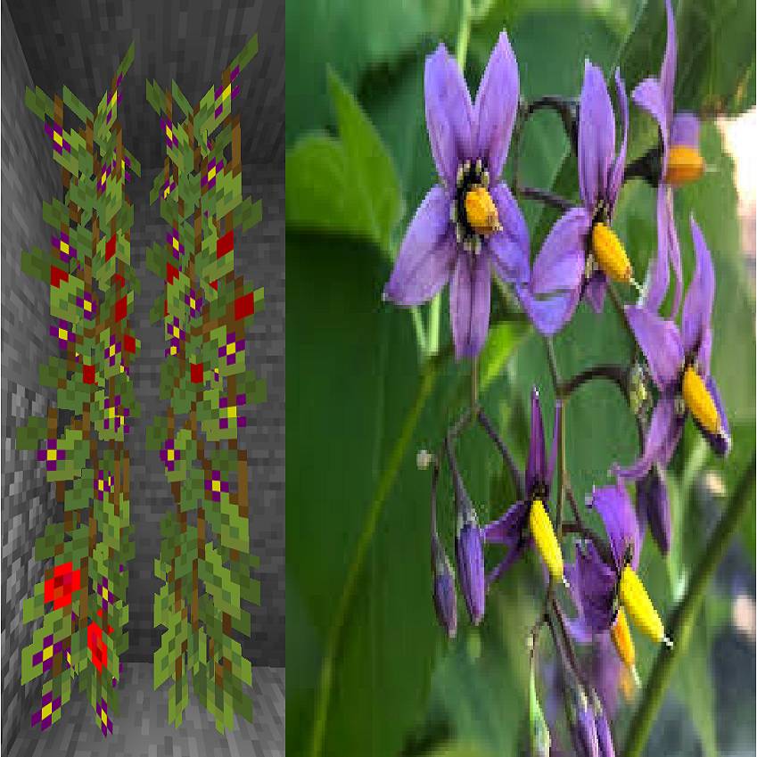 Bittersweet Nightshade - Minecraft Resource Packs - CurseForge
