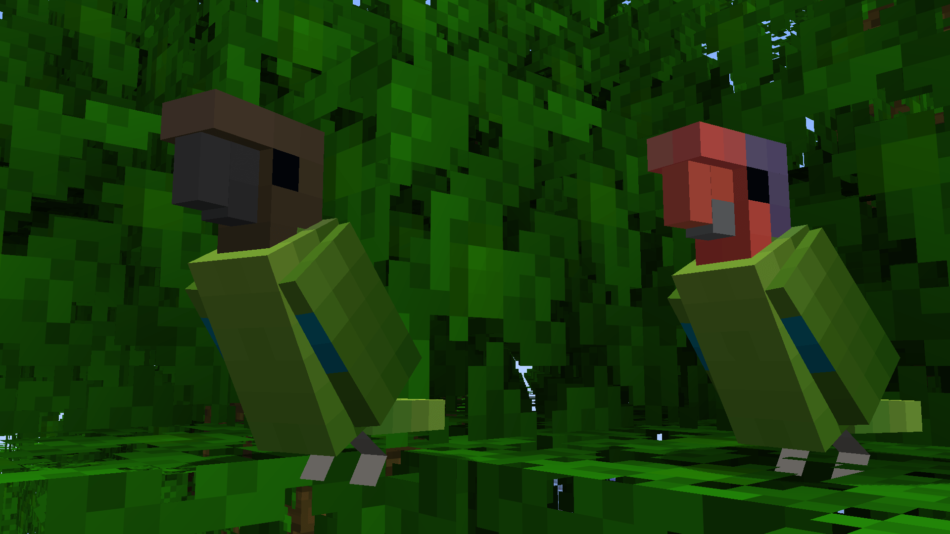 Aussie Parrots - Minecraft Resource Packs - CurseForge